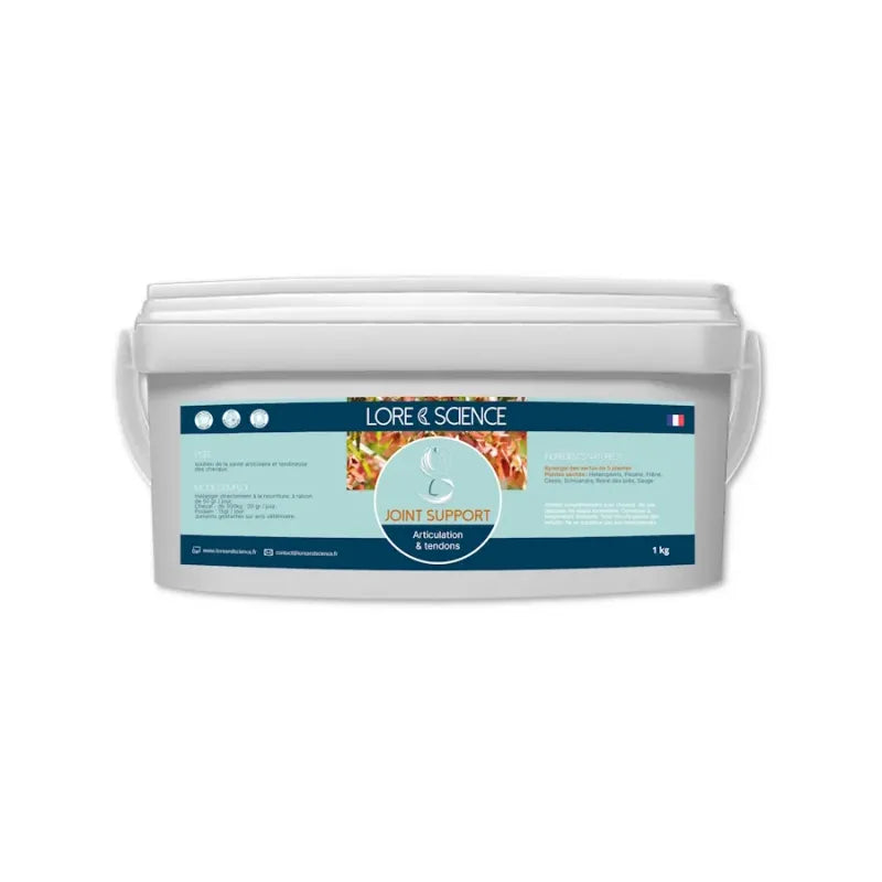 Articulation Lore & Science Joints Support – DistriCare - La Centrale ...